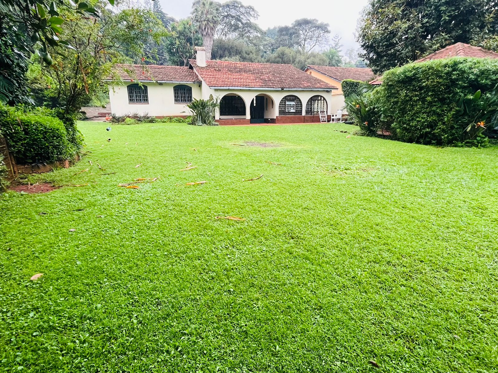 4 bedroom Bungalow with DSQ and a studio guestwing - Trisums